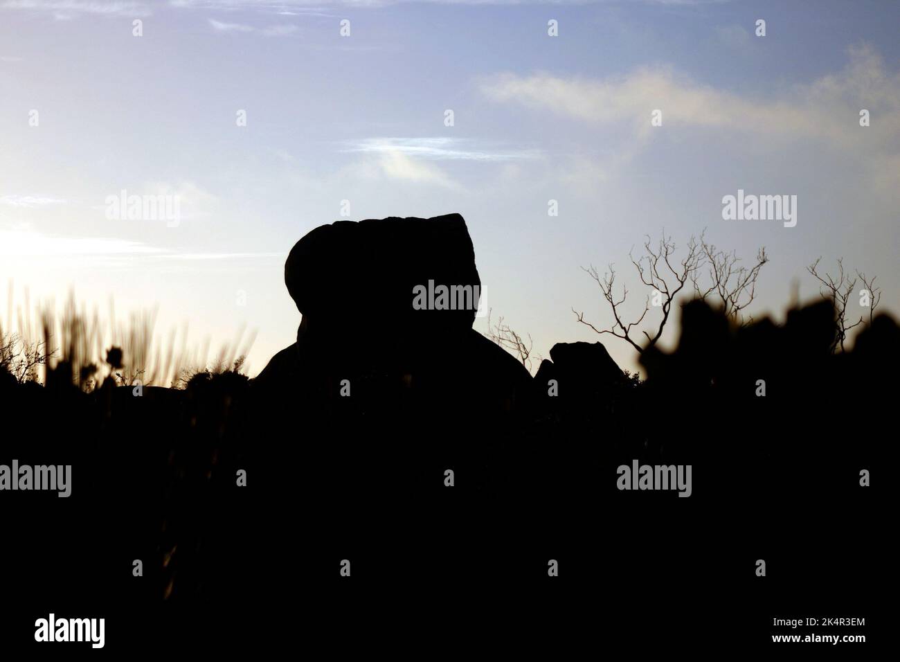 Human head formation hi-res stock photography and images - Alamy