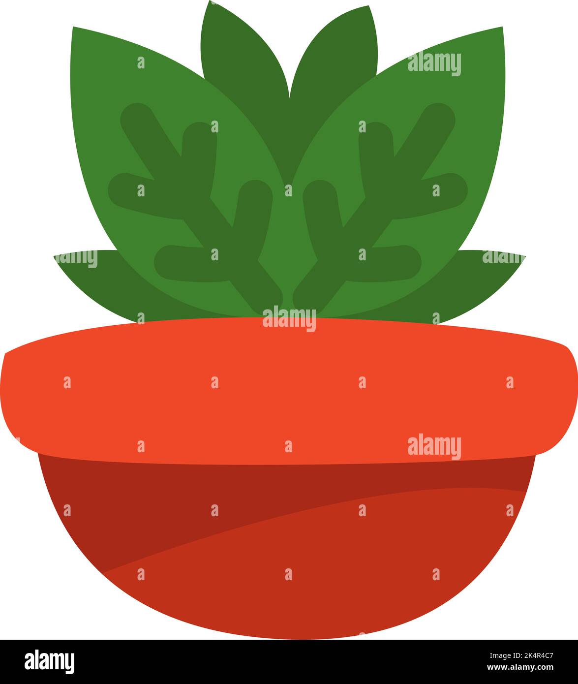 Croton plants Stock Vector Images - Alamy