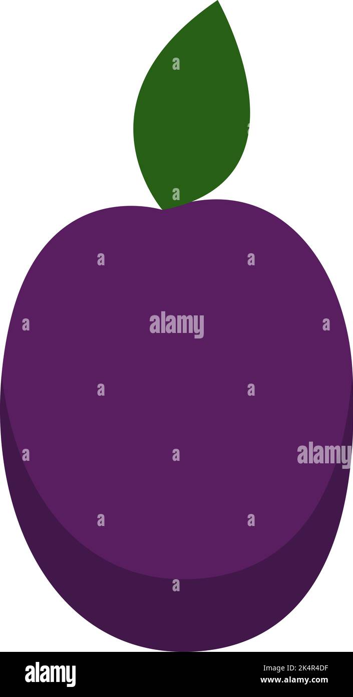Purple plum, illustration, vector on a white background Stock Vector ...