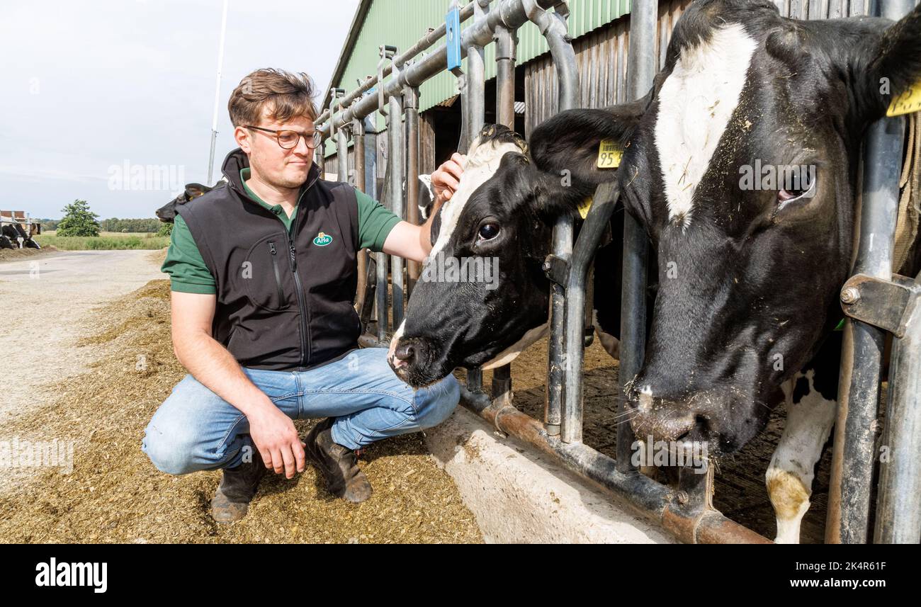 Duvensee, Germany. 06th Sep, 2022. Dairy farmer Knud Grell kneels next to cows on his farm. (to ...