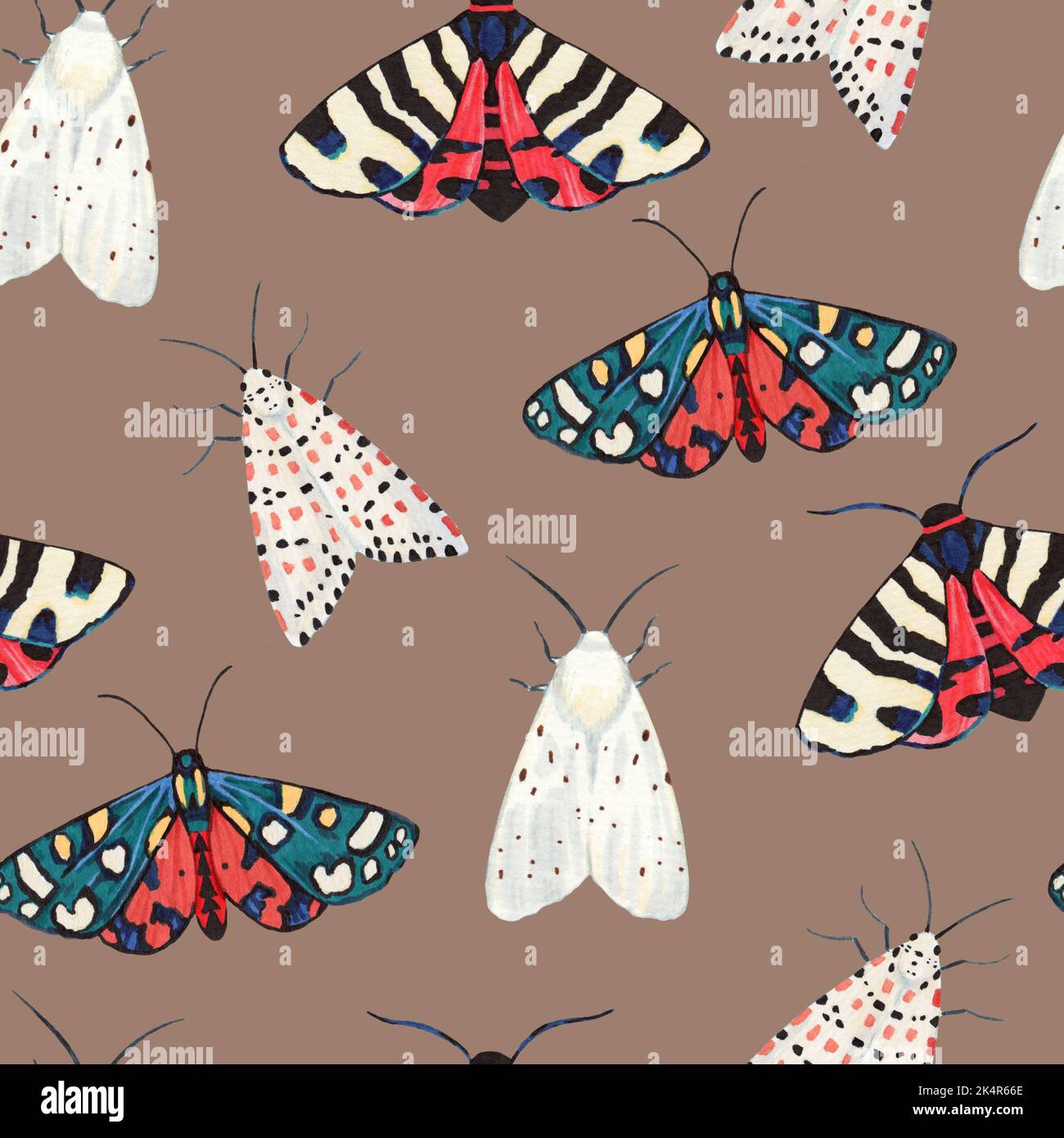 Cartoon night moths hi-res stock photography and images - Alamy