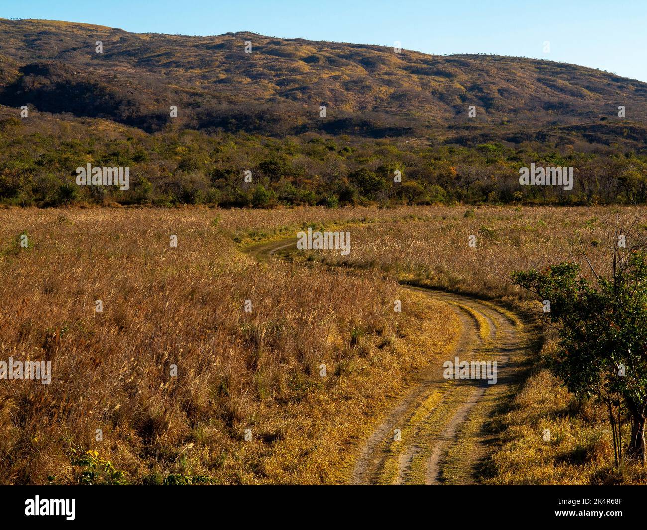 Tracs on the Serra do Cipó National Park, a popular destination for ...