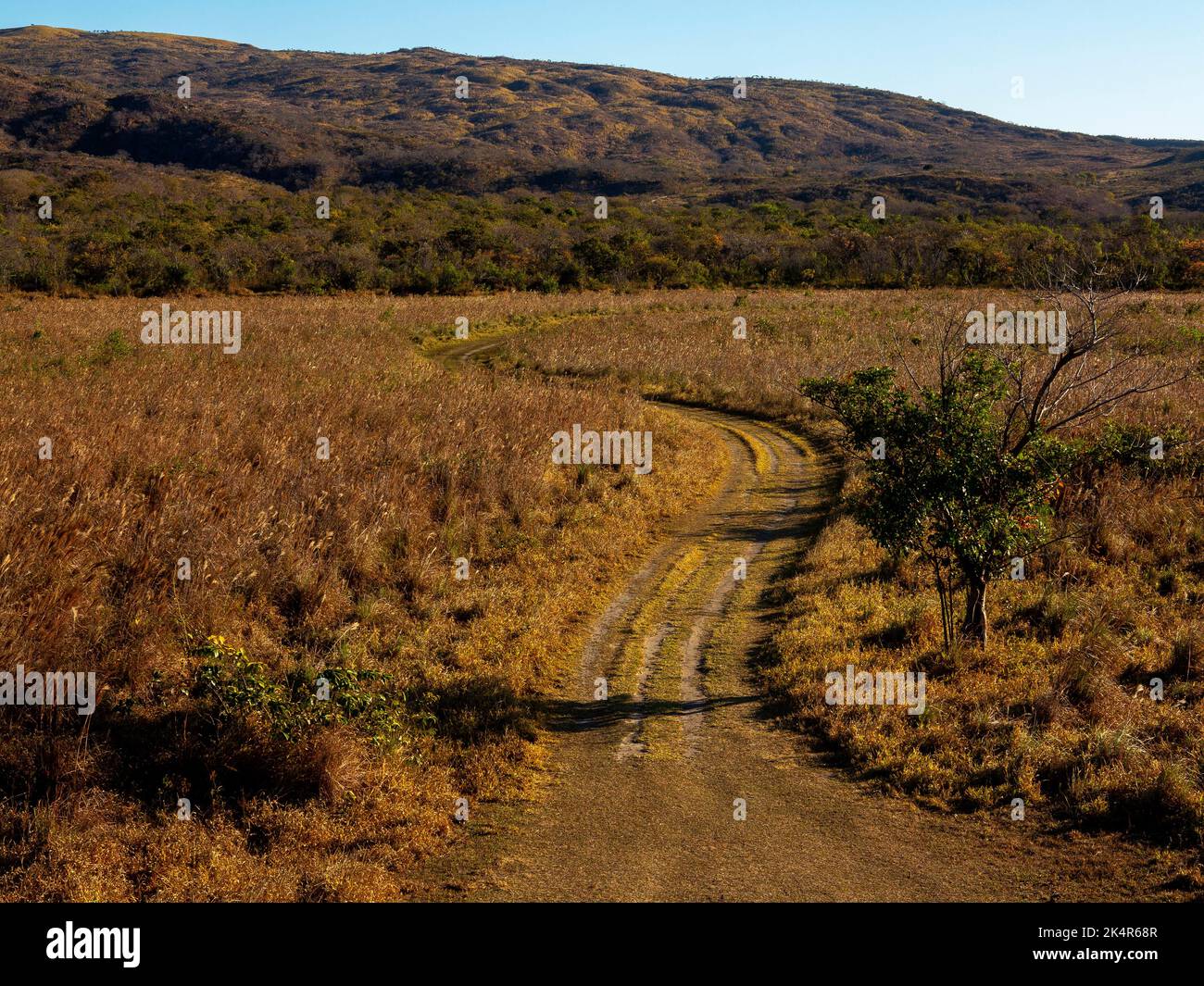 Tracs on the Serra do Cipó National Park, a popular destination for ...
