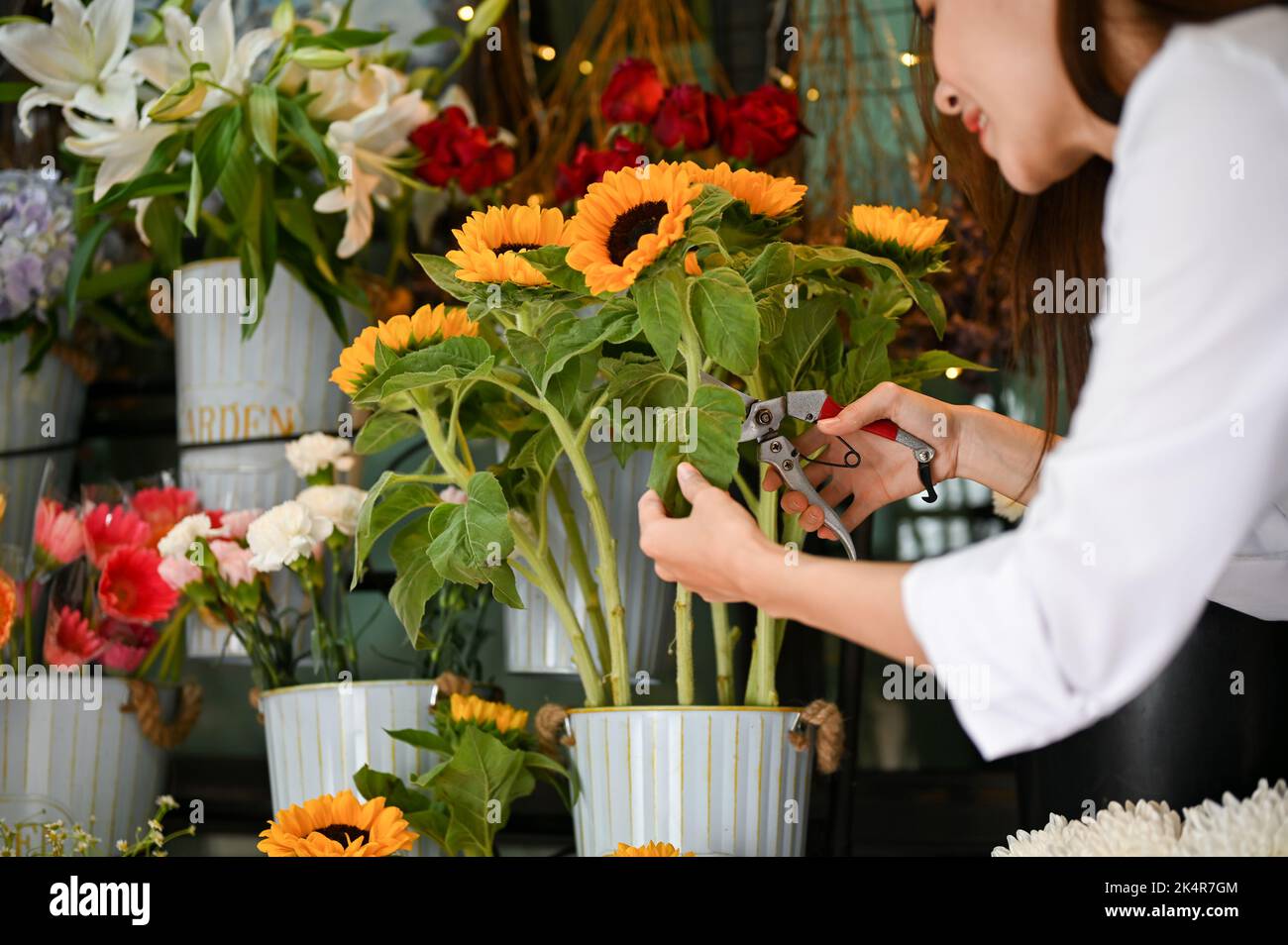 Taking cutting plant hi-res stock photography and images - Alamy