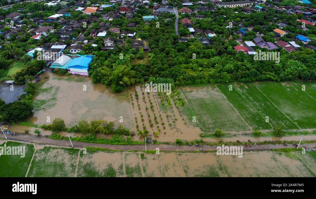 Aerial view of paddy fields or agricultural areas affected by rainy ...