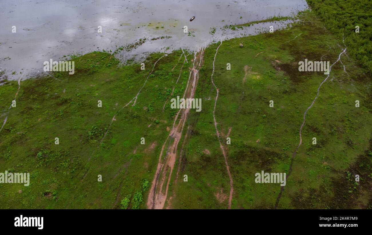 Aerial view of green pasture affected by rainy season floods. Top view ...