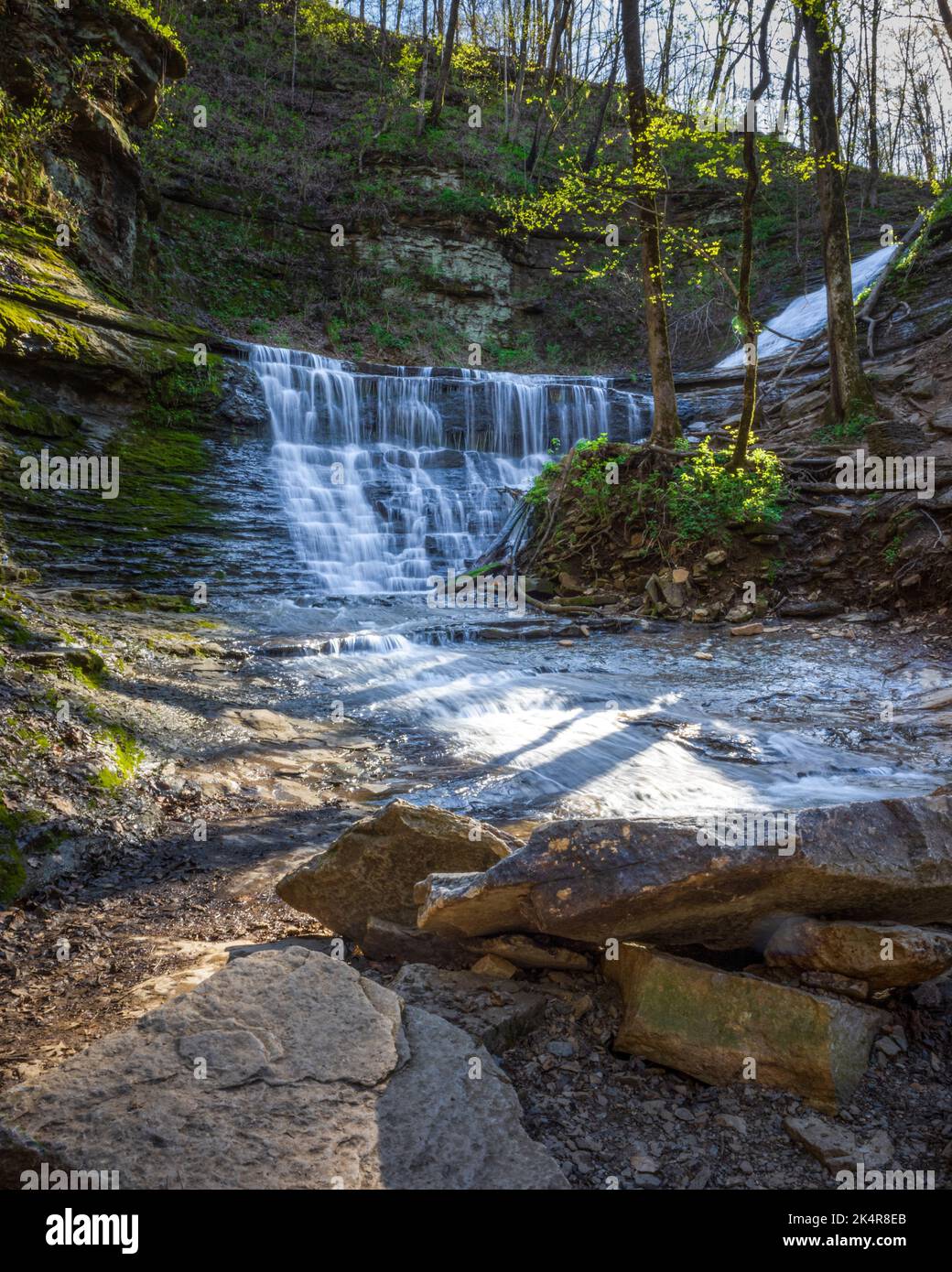 A vertical shot of a waterfall in the forest surrounded by green trees ...