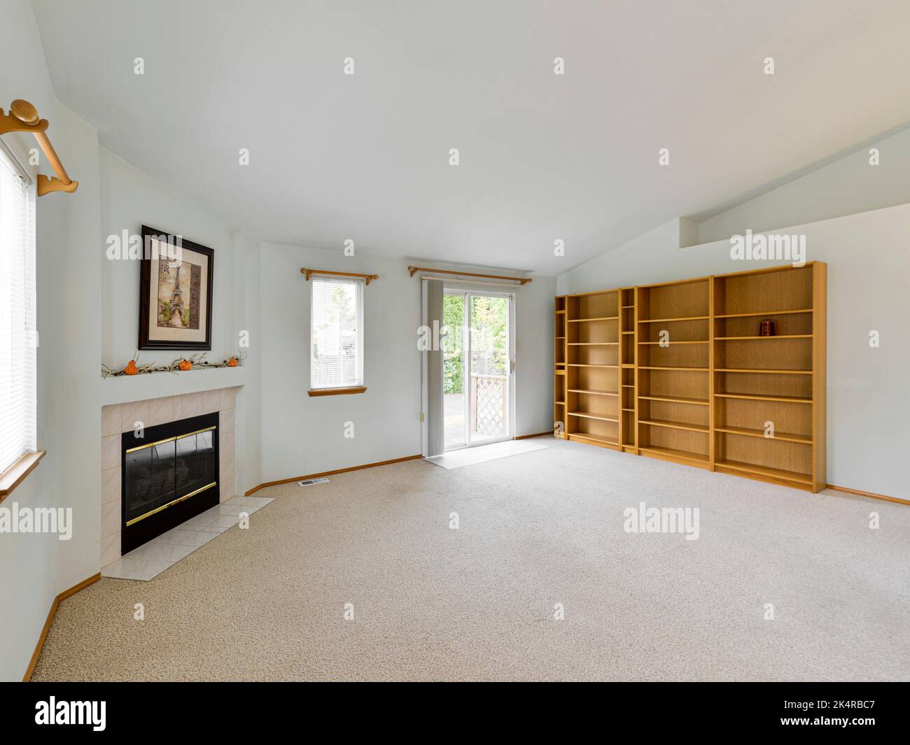 Modern residential empty living room interior Stock Photo - Alamy