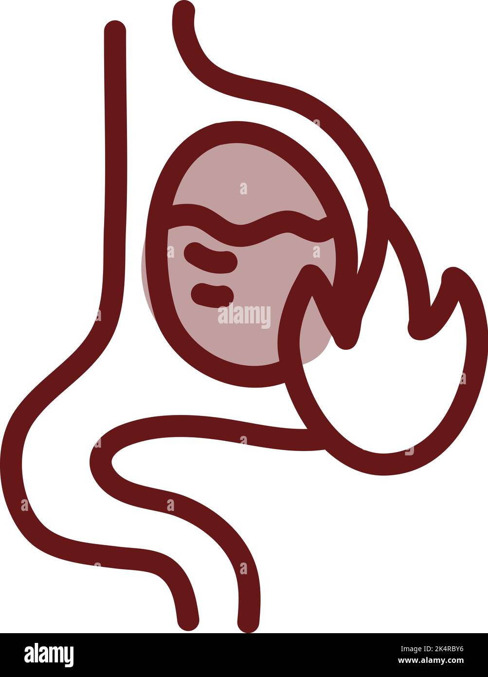 Stomach burn, illustration, vector on a white background Stock Vector ...