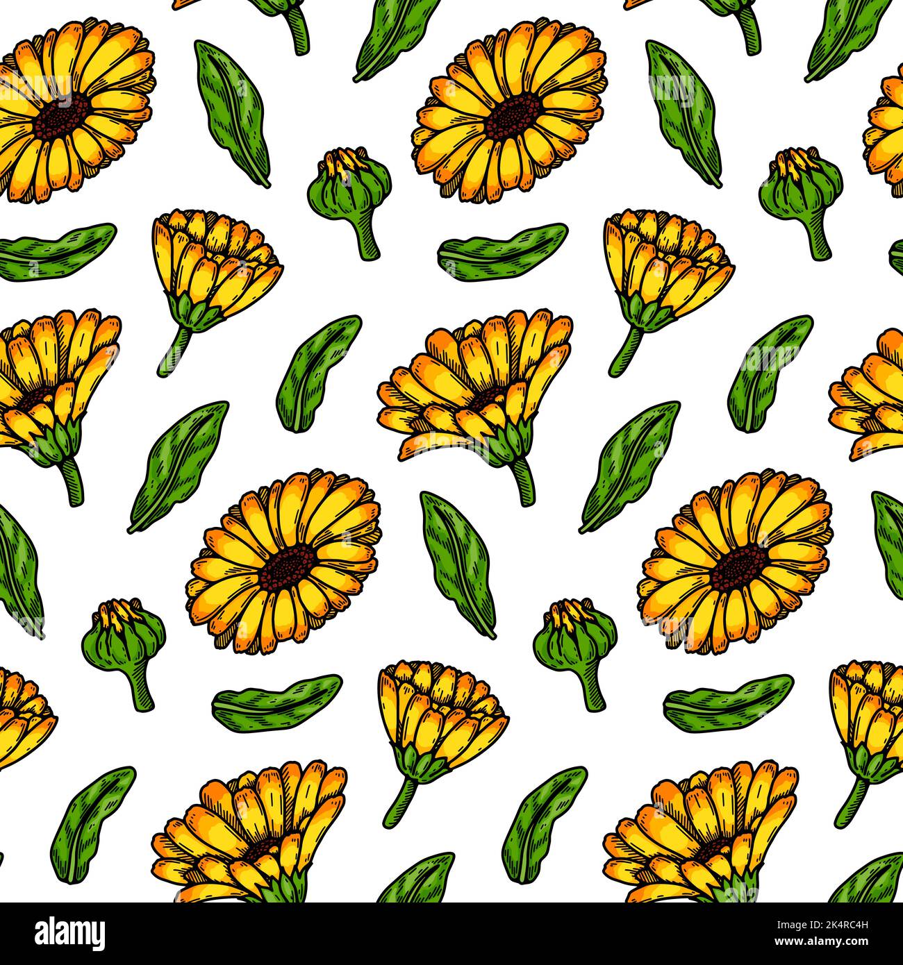 Orange green marigold flowers Stock Vector Images - Alamy