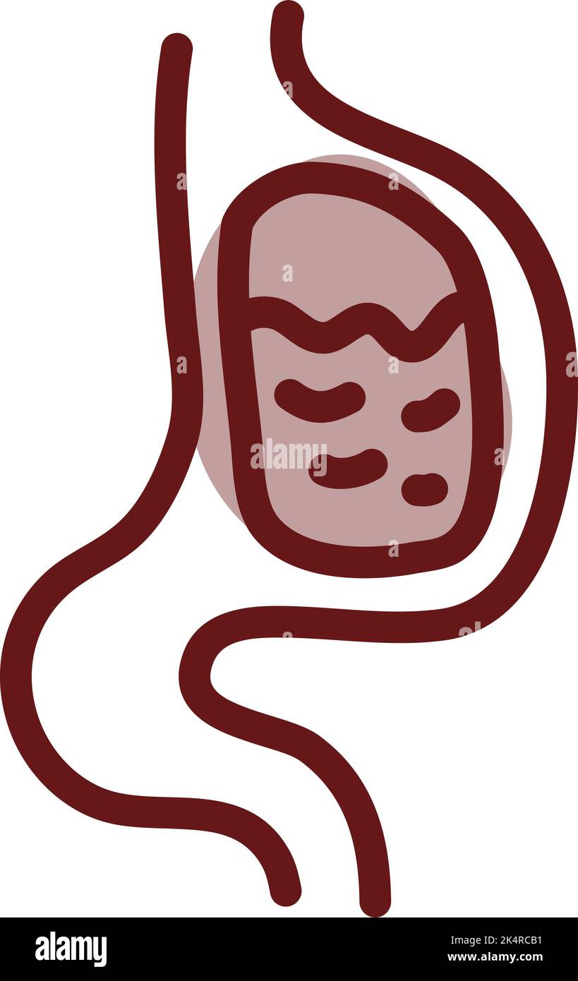 Gastrointestinal health vector vectors Stock Vector Images - Alamy