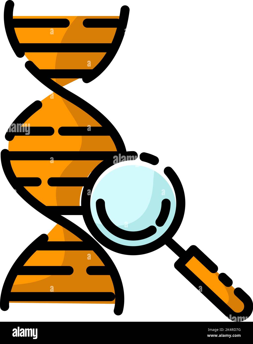 DNA biology, illustration, vector on a white background Stock Vector ...