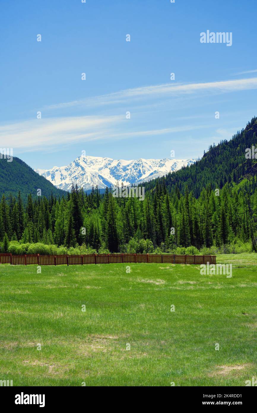 Vertical image of snow mountain peak and green forest and meadow with ...