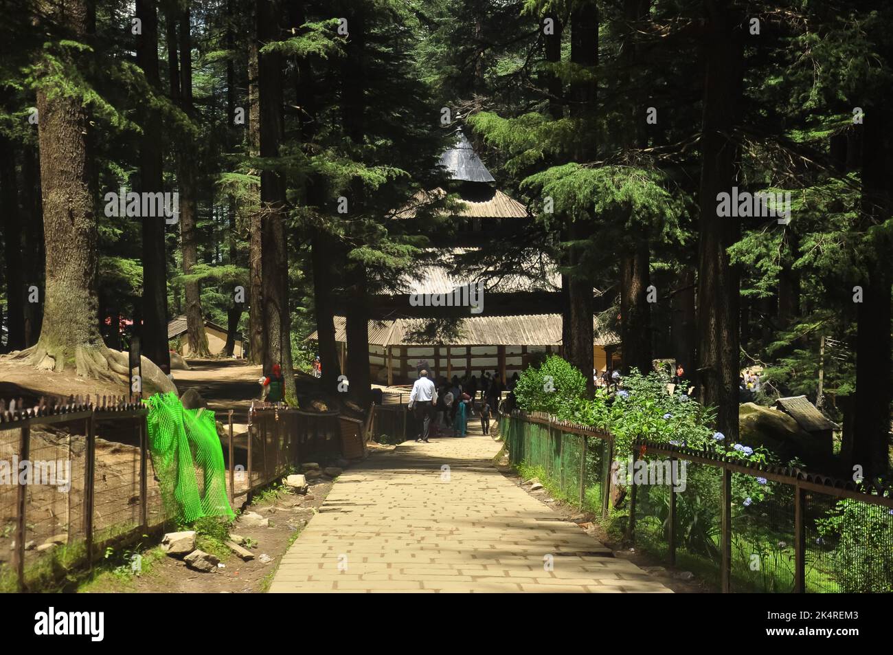 Manali, Himachal Pradesh, India - 07 16 2022: Beautiful view of Hidimba ...