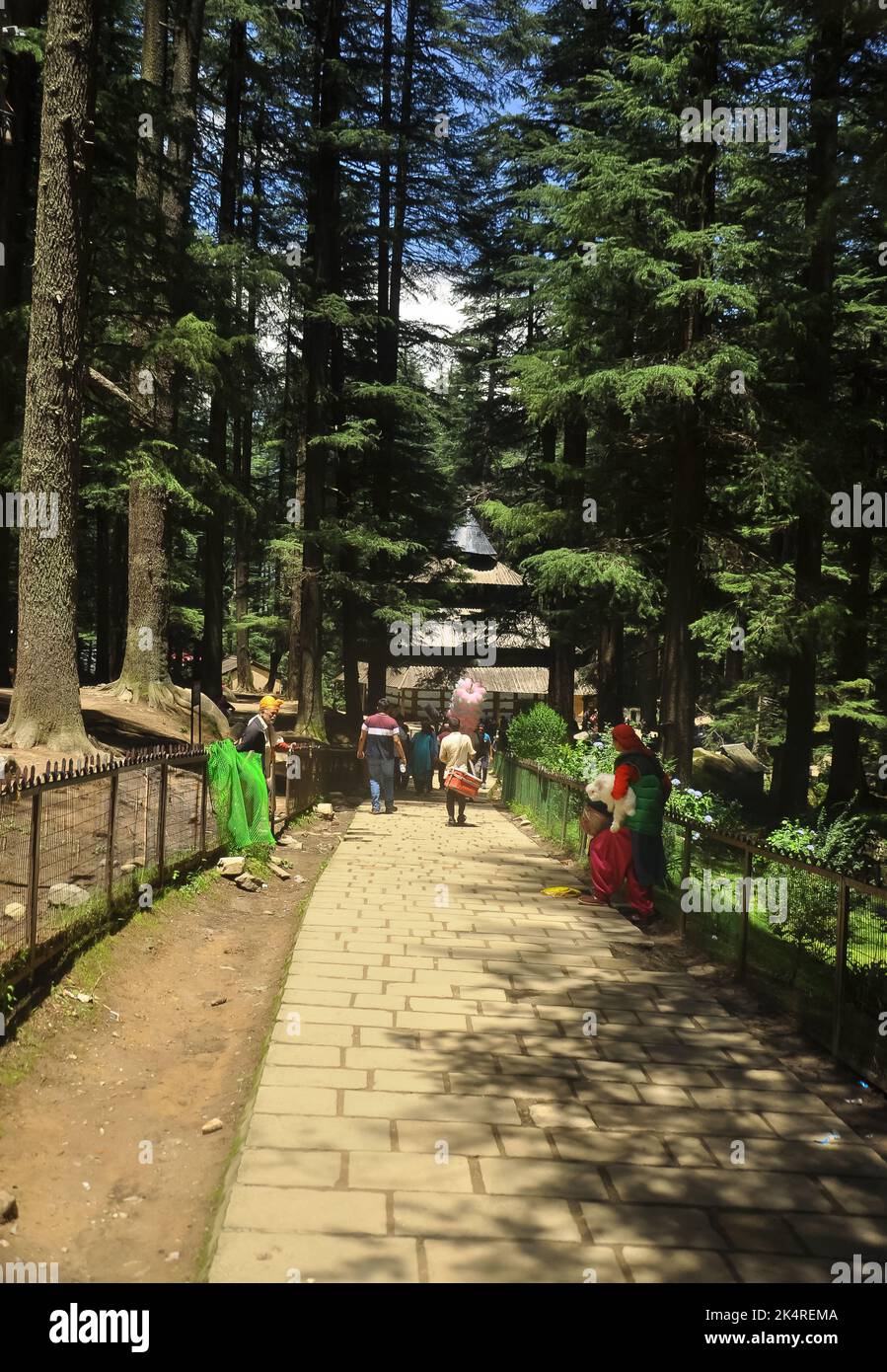Manali, Himachal Pradesh, India - 07 16 2022: Beautiful view of Hidimba ...