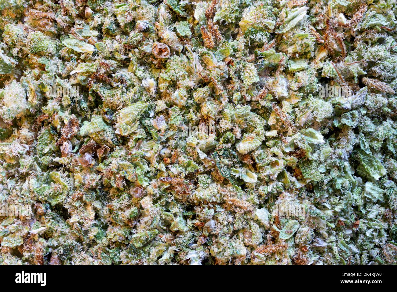 Cannabis buds ground marijuana hi-res stock photography and images - Alamy