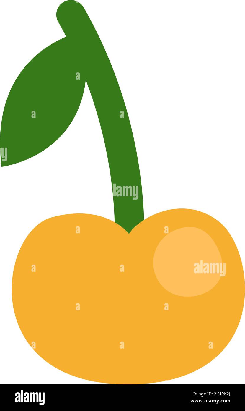 Yellow cherry, illustration, vector on a white background Stock Vector ...