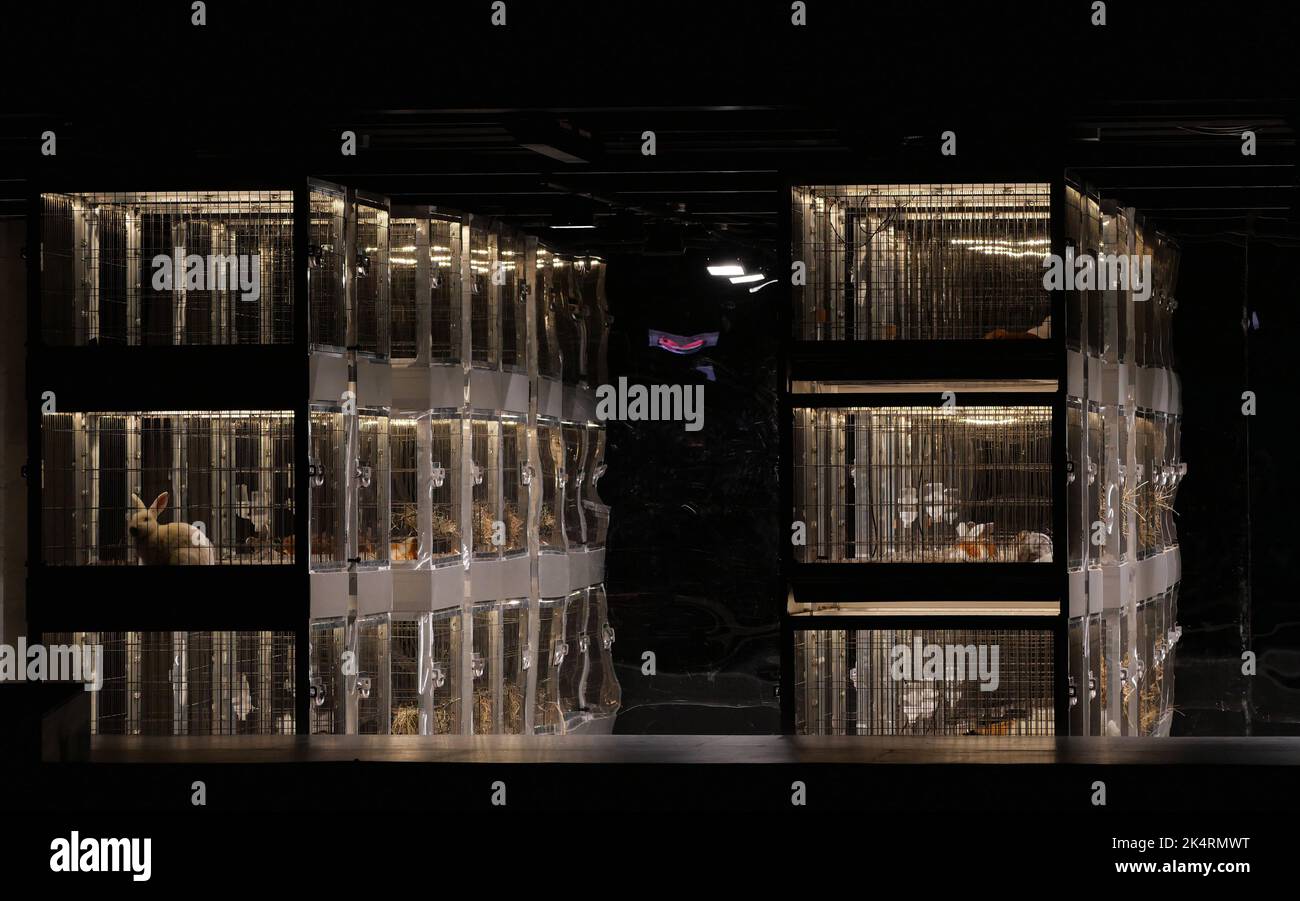 Berlin, Germany. 03rd Oct, 2022. Stage design taken on 26.09.2022 ...