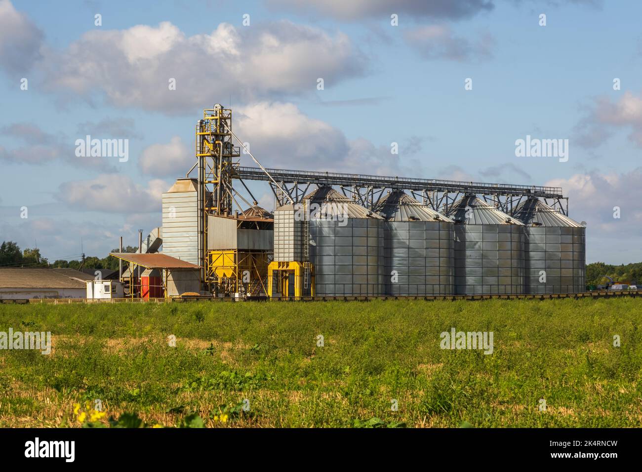 agro silos granary elevator with seeds cleaning line on agro-processing ...
