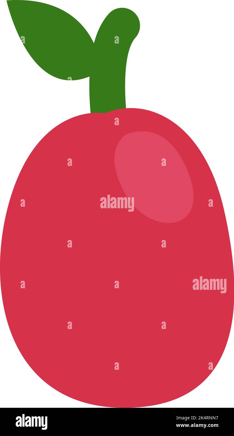 Red plum, illustration, vector on a white background Stock Vector Image ...