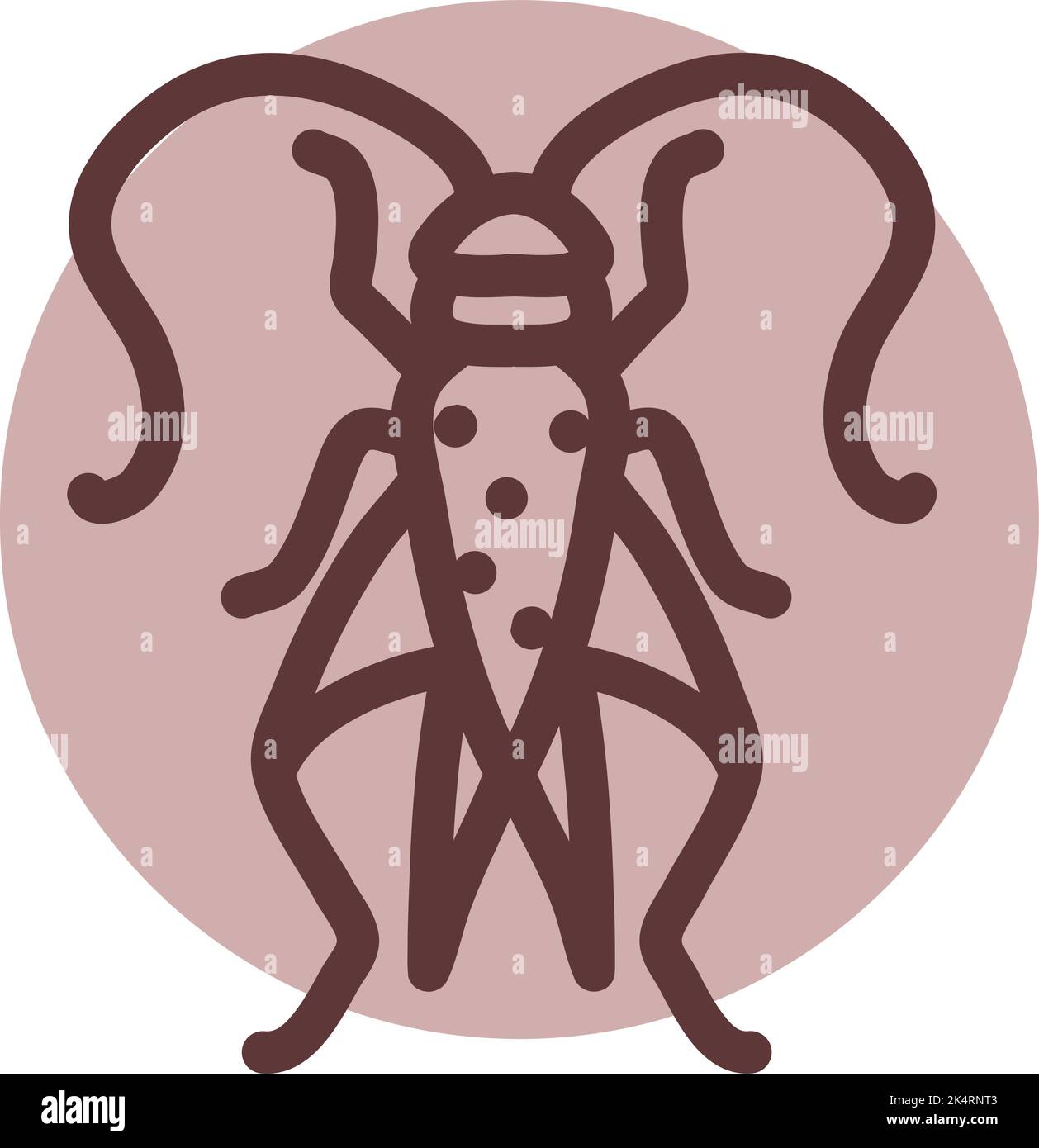 Cockroach line drawing hi-res stock photography and images - Alamy