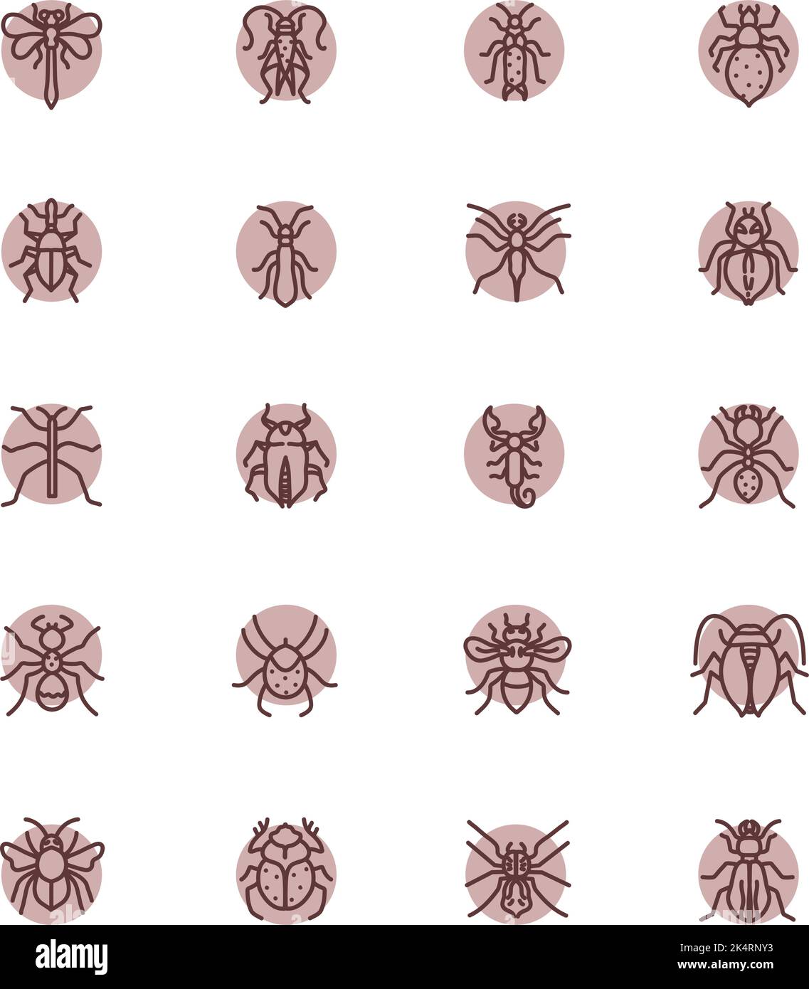 Insect world, illustration, vector on a white background Stock Vector ...