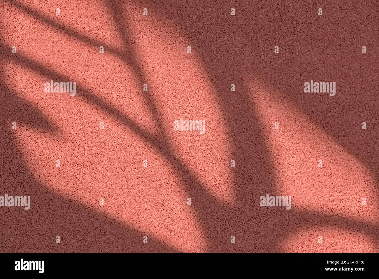 Shadow and light on solid pink wall texture background Stock Photo - Alamy