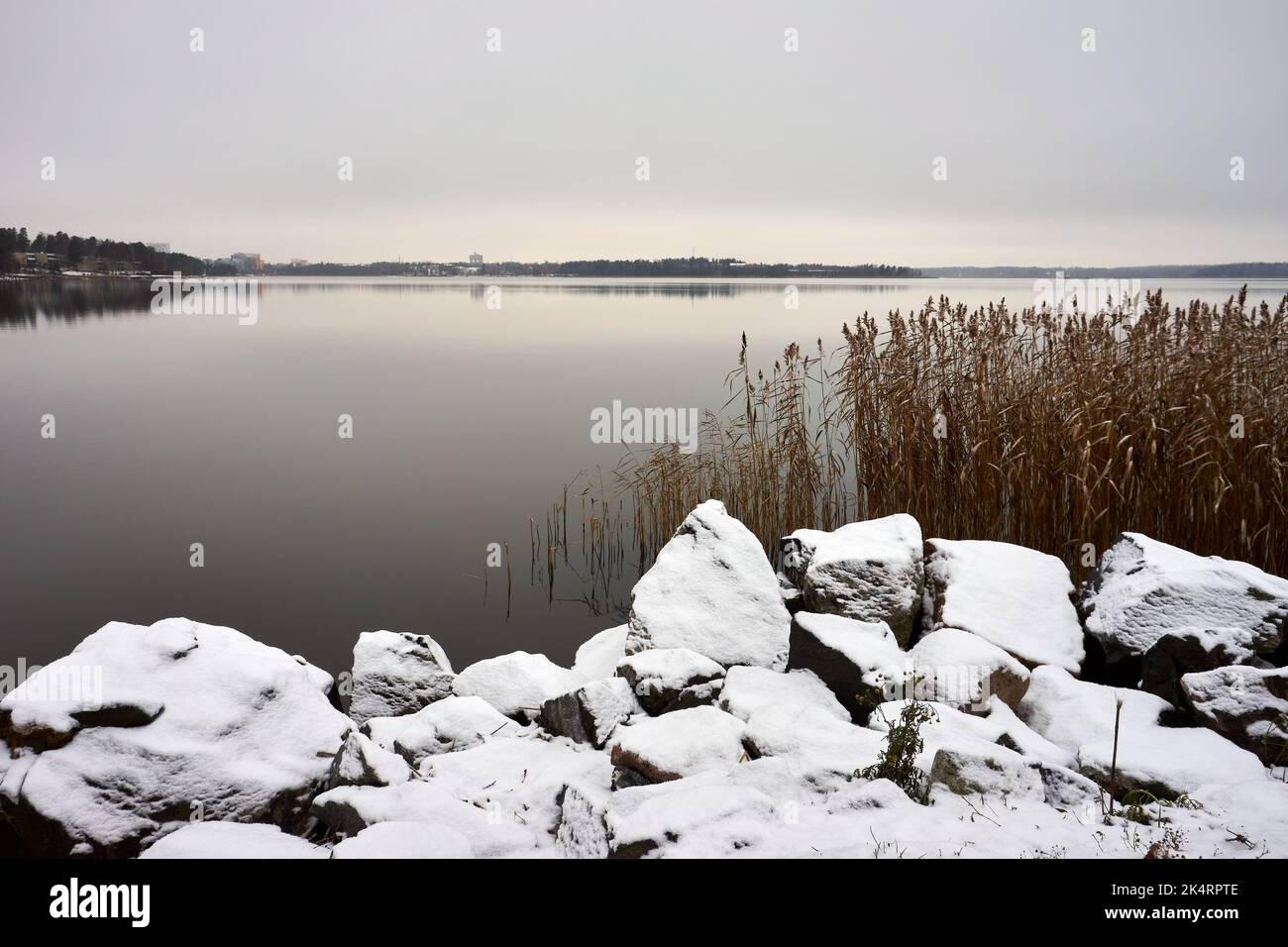 The snow-covered rocks and reeds on the shore Stock Photo - Alamy