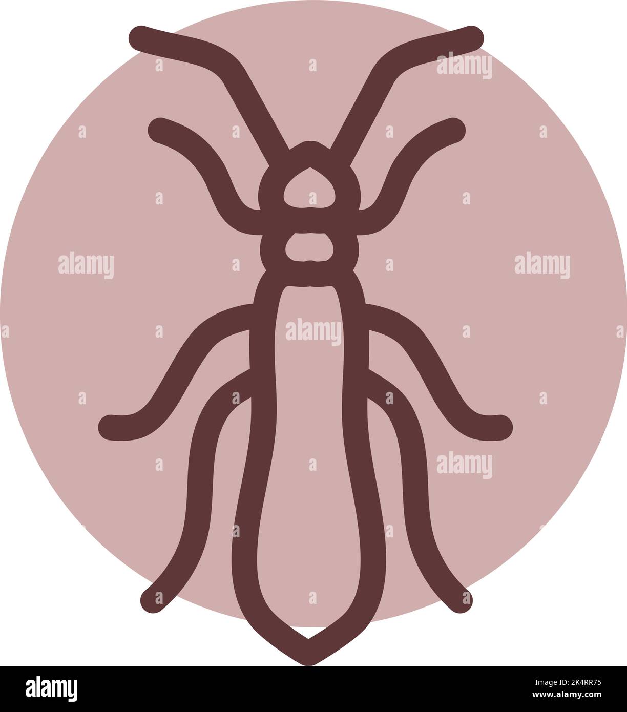 Sticker design insect on Stock Vector Images - Alamy