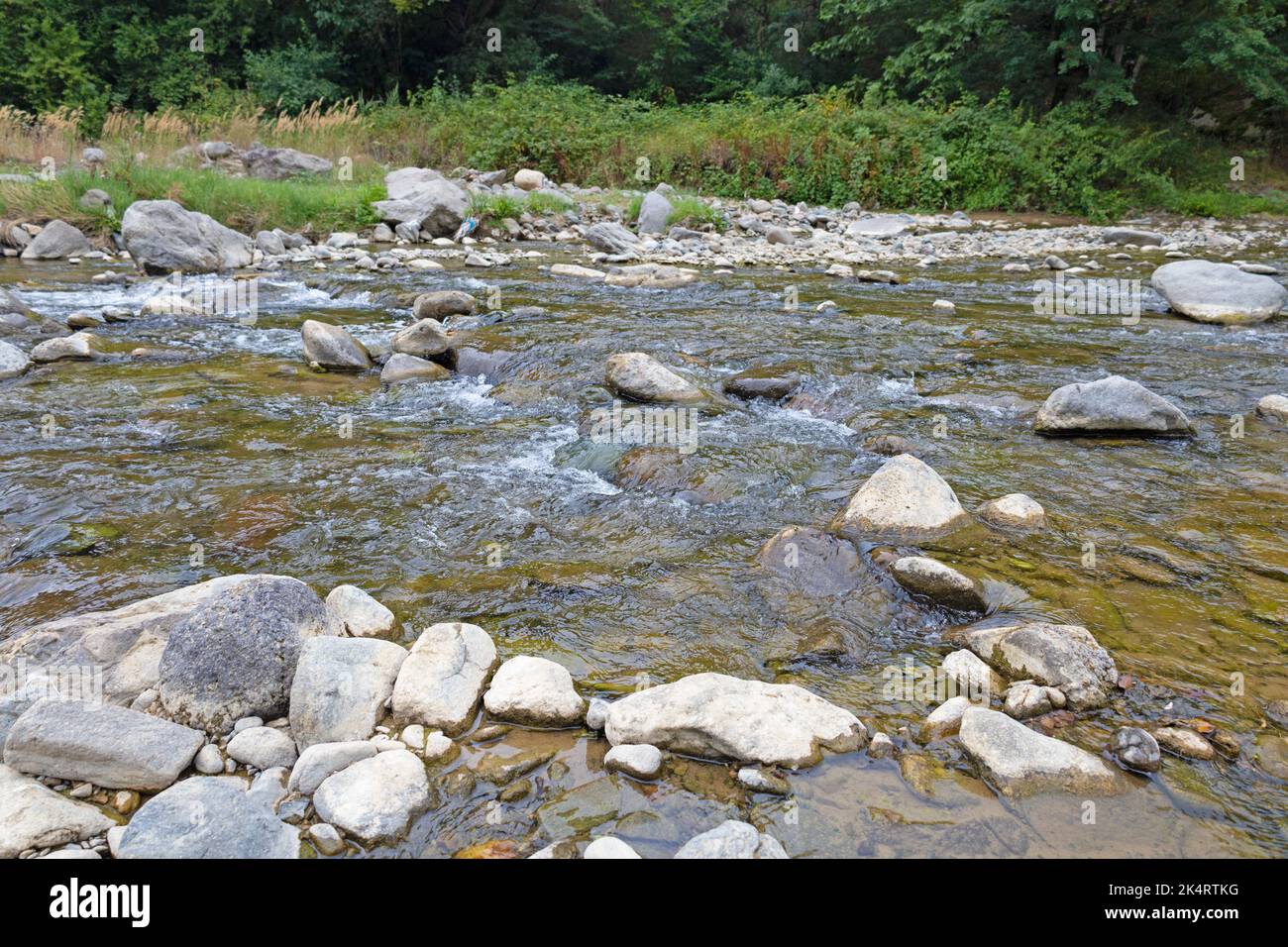 Mountain river full of stones flows next to the dense forest Stock ...