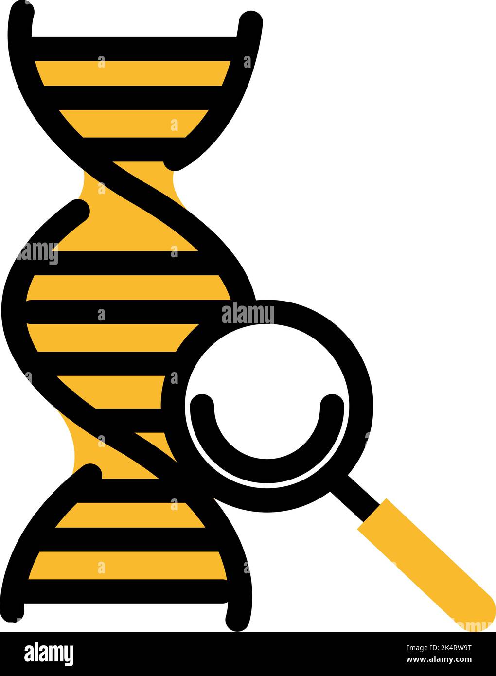 Biology study, illustration, vector on a white background Stock Vector ...