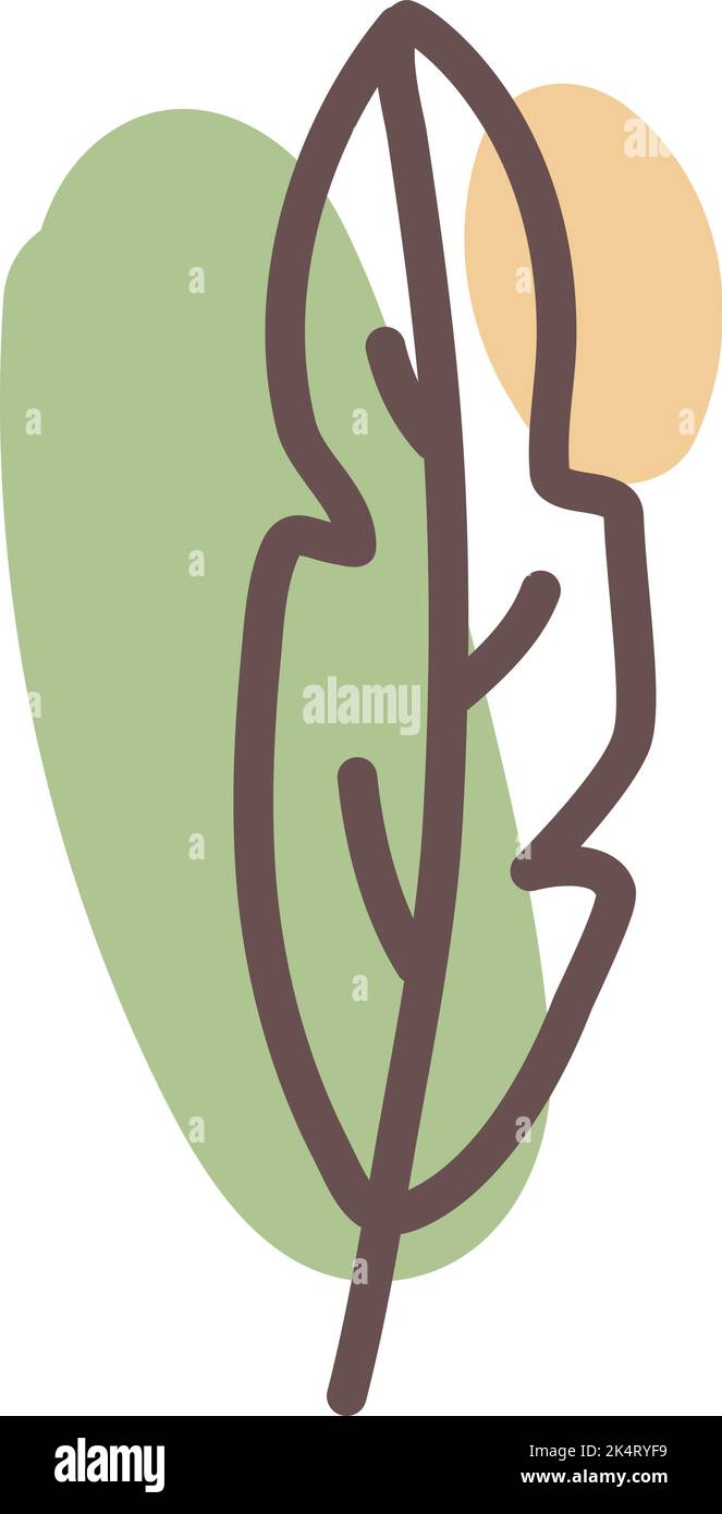 Long leaf illustration vector Cut Out Stock Images & Pictures - Alamy