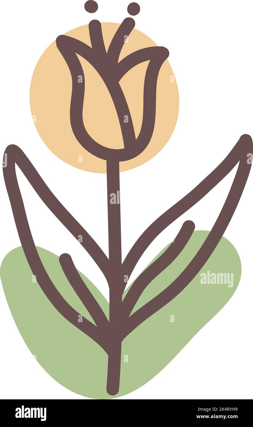 Orange tulipan flower, illustration, vector on a white background Stock ...