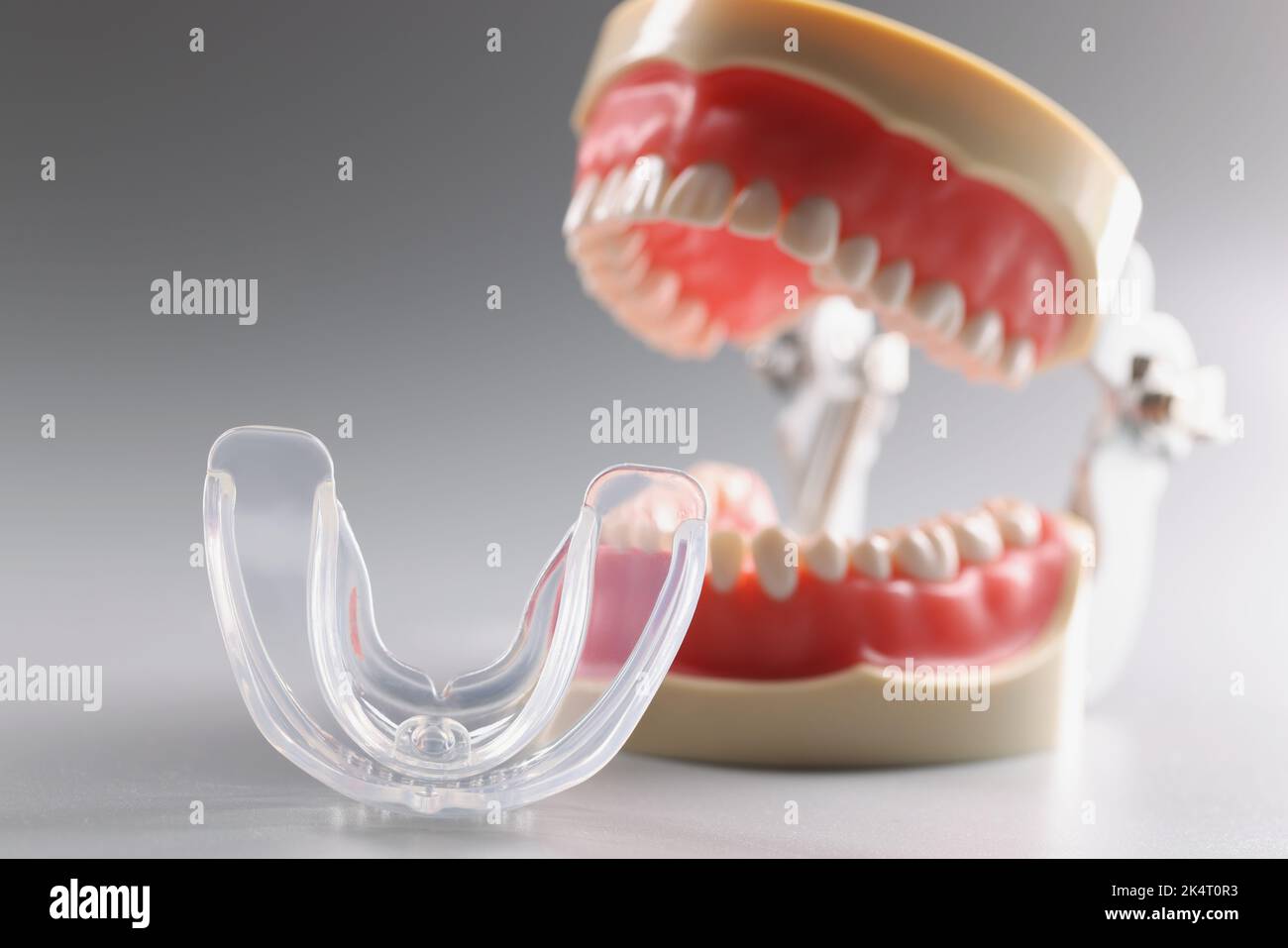 Plastic model of an open human jaw on a gray background Stock Photo - Alamy
