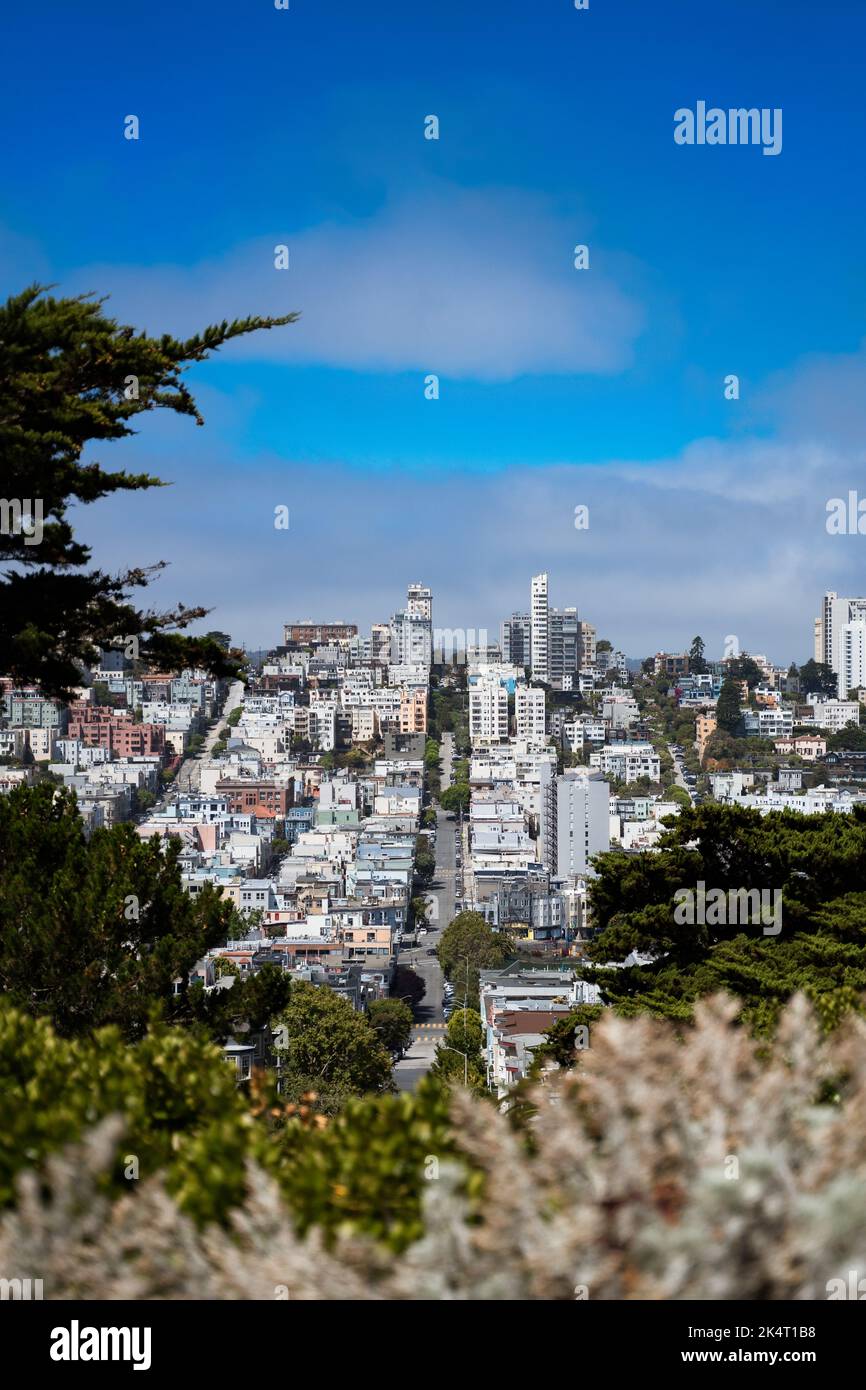 San Francisco sloped street city view from Pioneer park in the summer ...