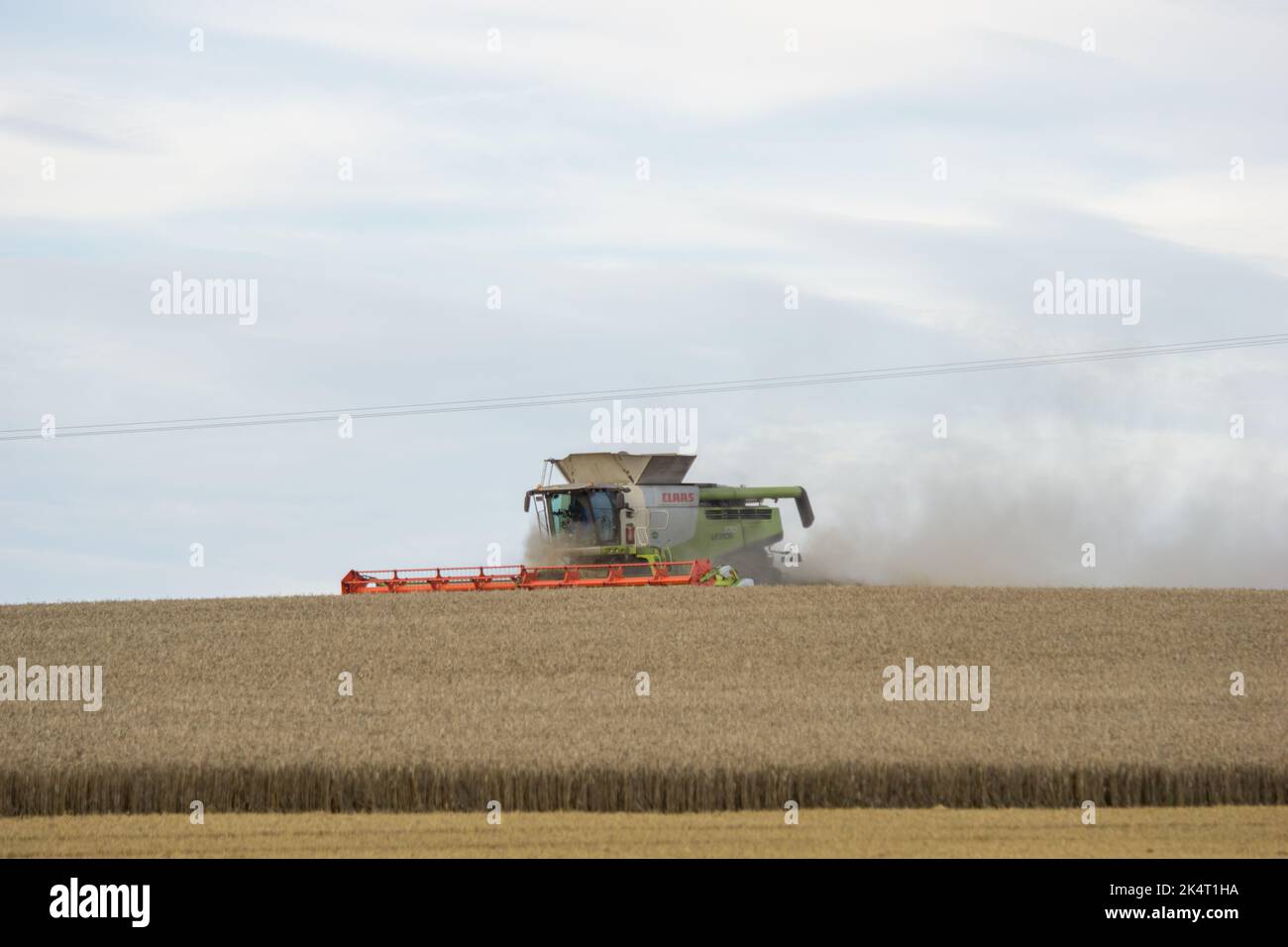 Combine harvester collecting ripe wheat hi-res stock photography and ...