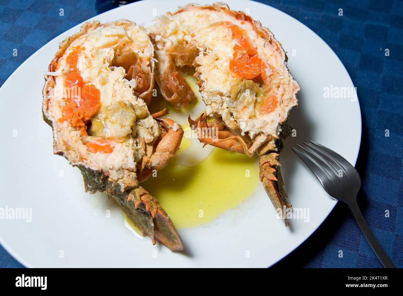 Scyllarus Arctus, Cicada Sea; Mediterranean Sea Stock Photo - Alamy