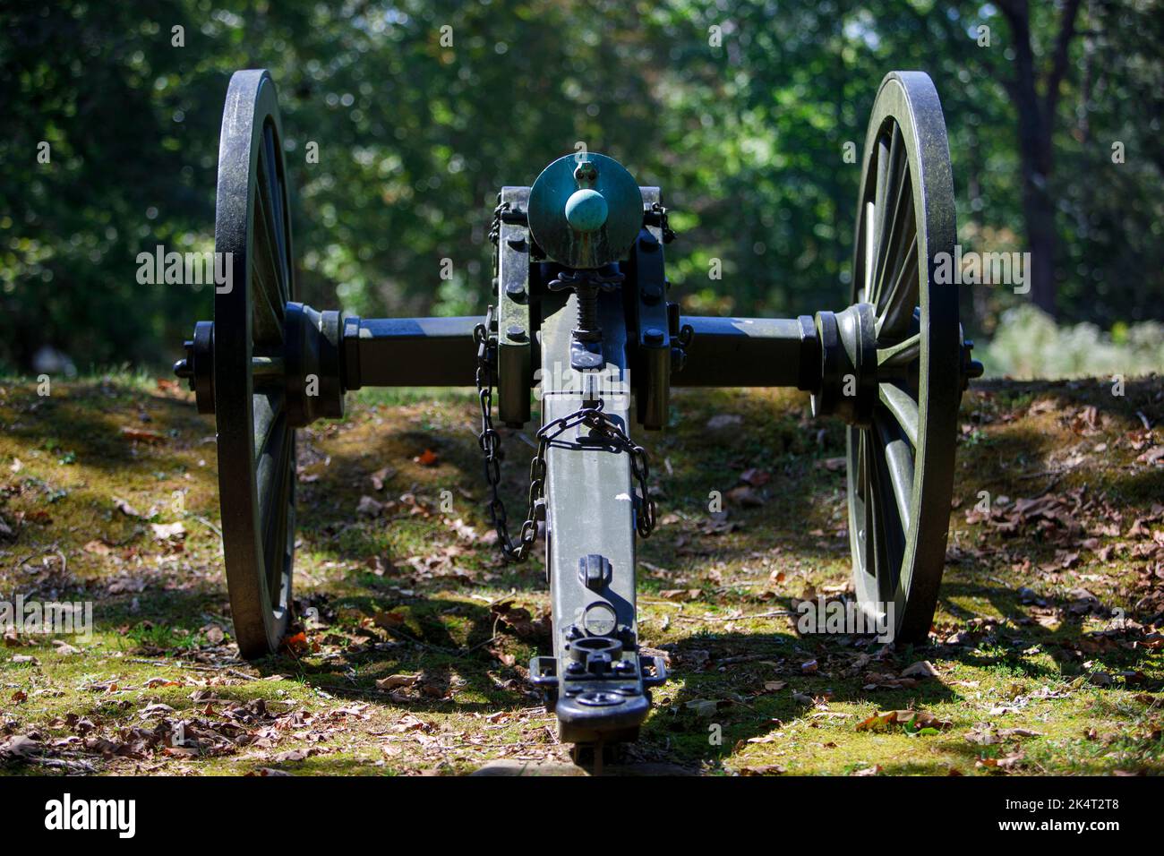 Back view of a blue M1857 12-Pounder, the Napoleon, an American civil ...