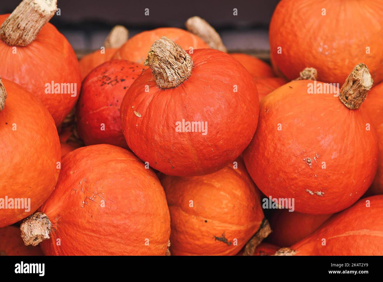 Background pile red kuri hi-res stock photography and images - Alamy