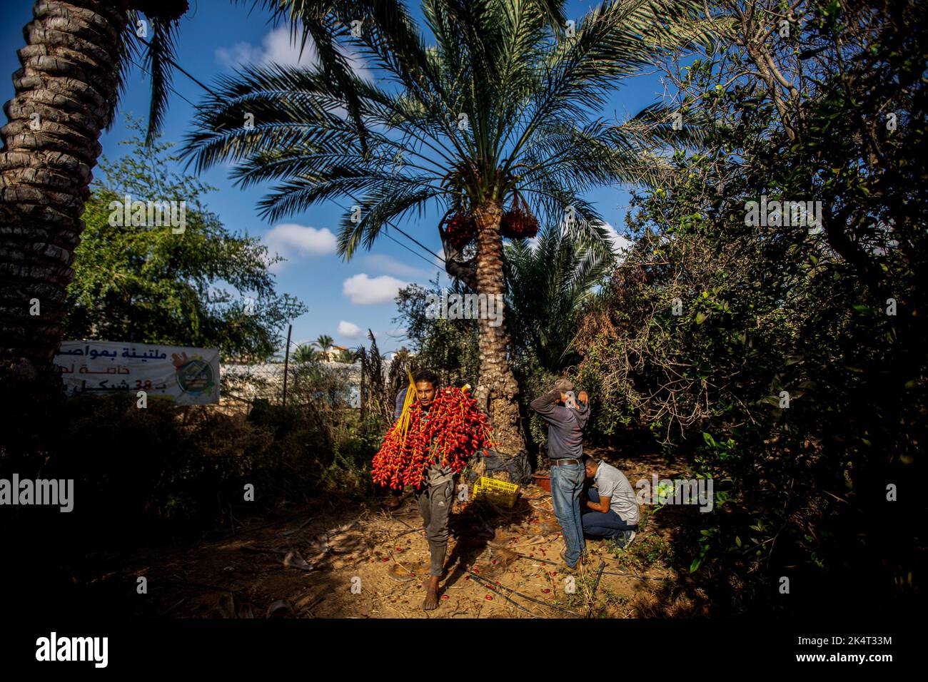 Khan Yunis, Gaza Strip, Palestine. 3rd Oct, 2022. Khan Yunis, Gaza ...