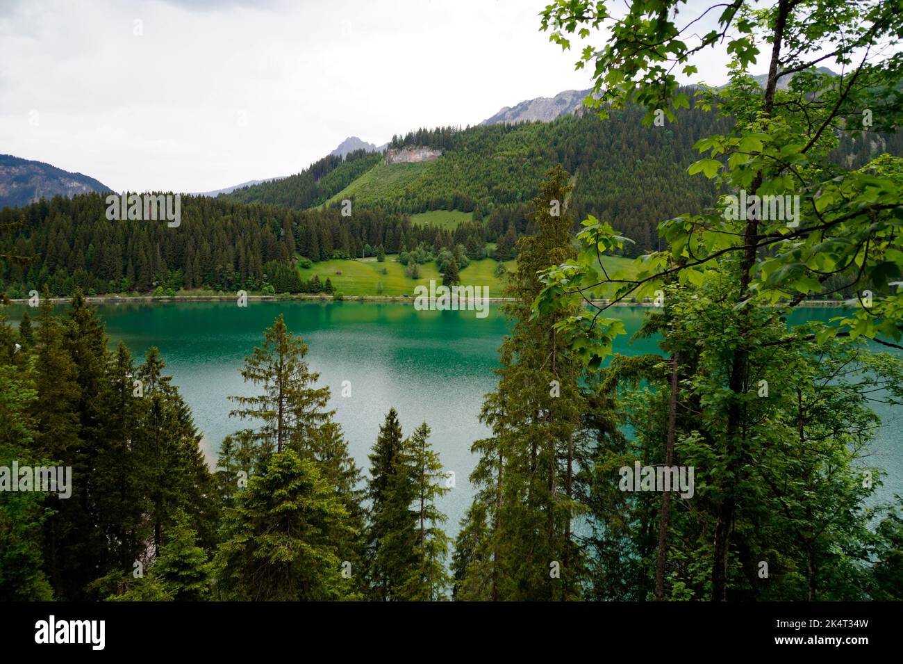 scenic emerald-green alpine lake Haldensee surrounded by lush green ...