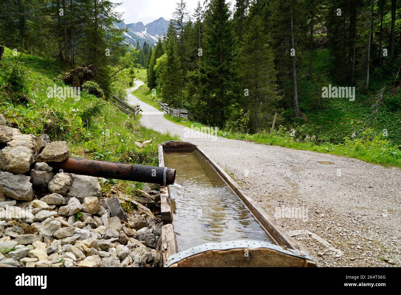 Alpine stream running into an old wooden water trough in the Austrian ...