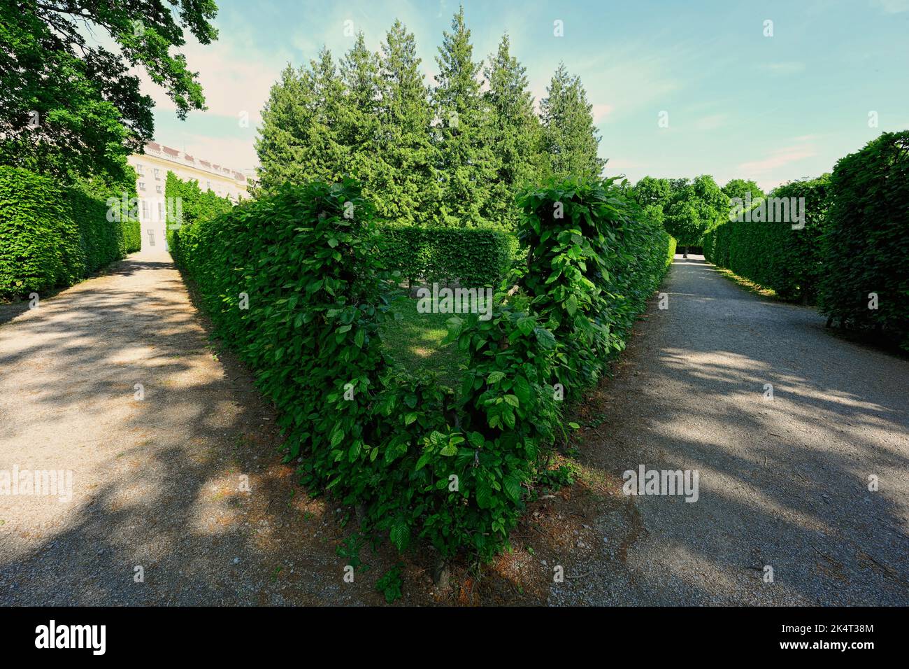 Triangular bushes labyrinths of Schonbrunn Palace in Vienna, Austria ...