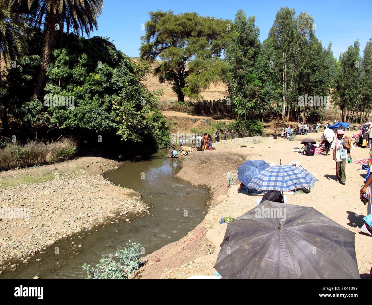 The local market near Kombolcha city in Ethiopia, Africa Stock Photo ...