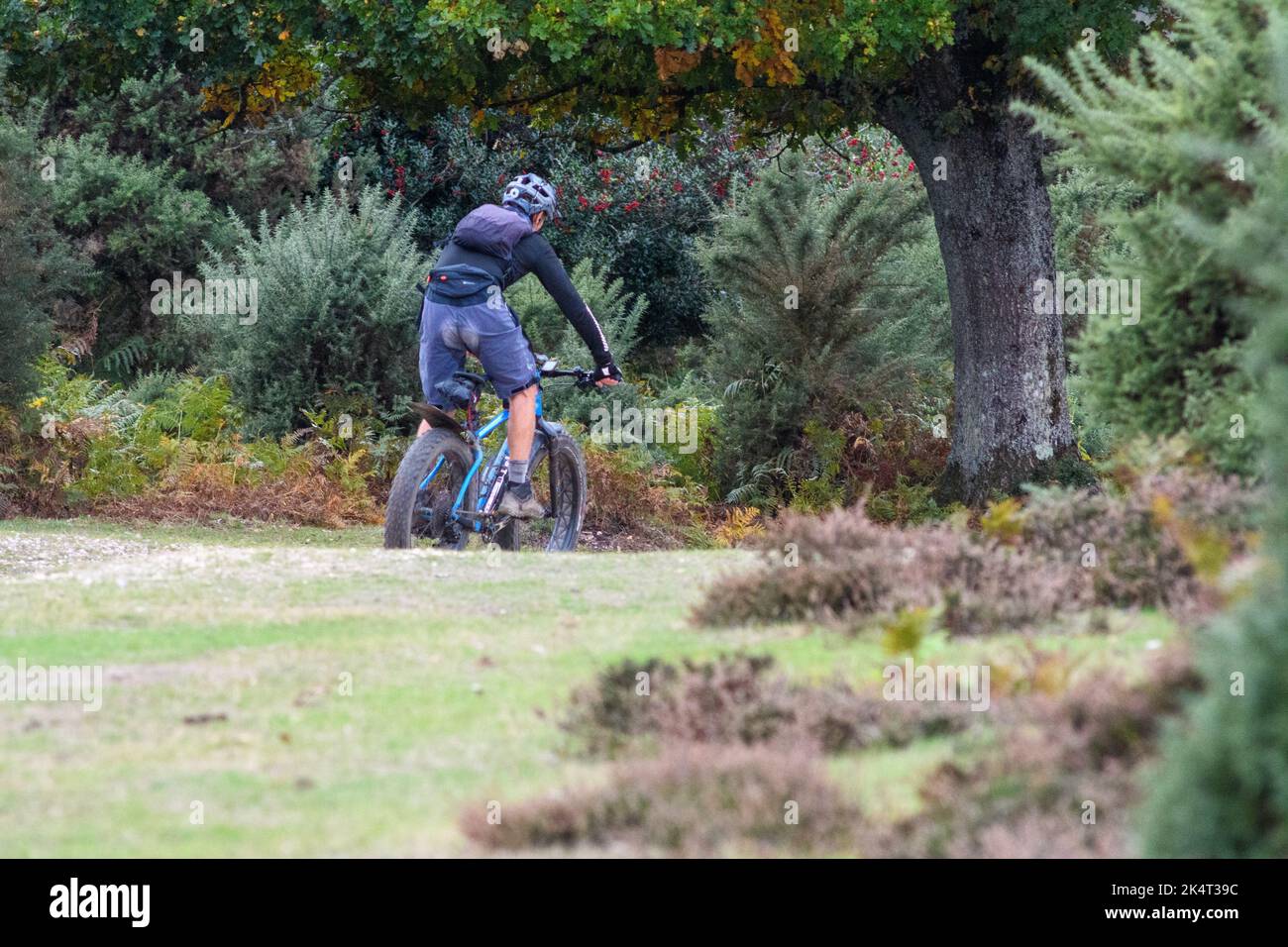 Off road cyclist on a gravel track in the New Forest, Hampshire, UK ...