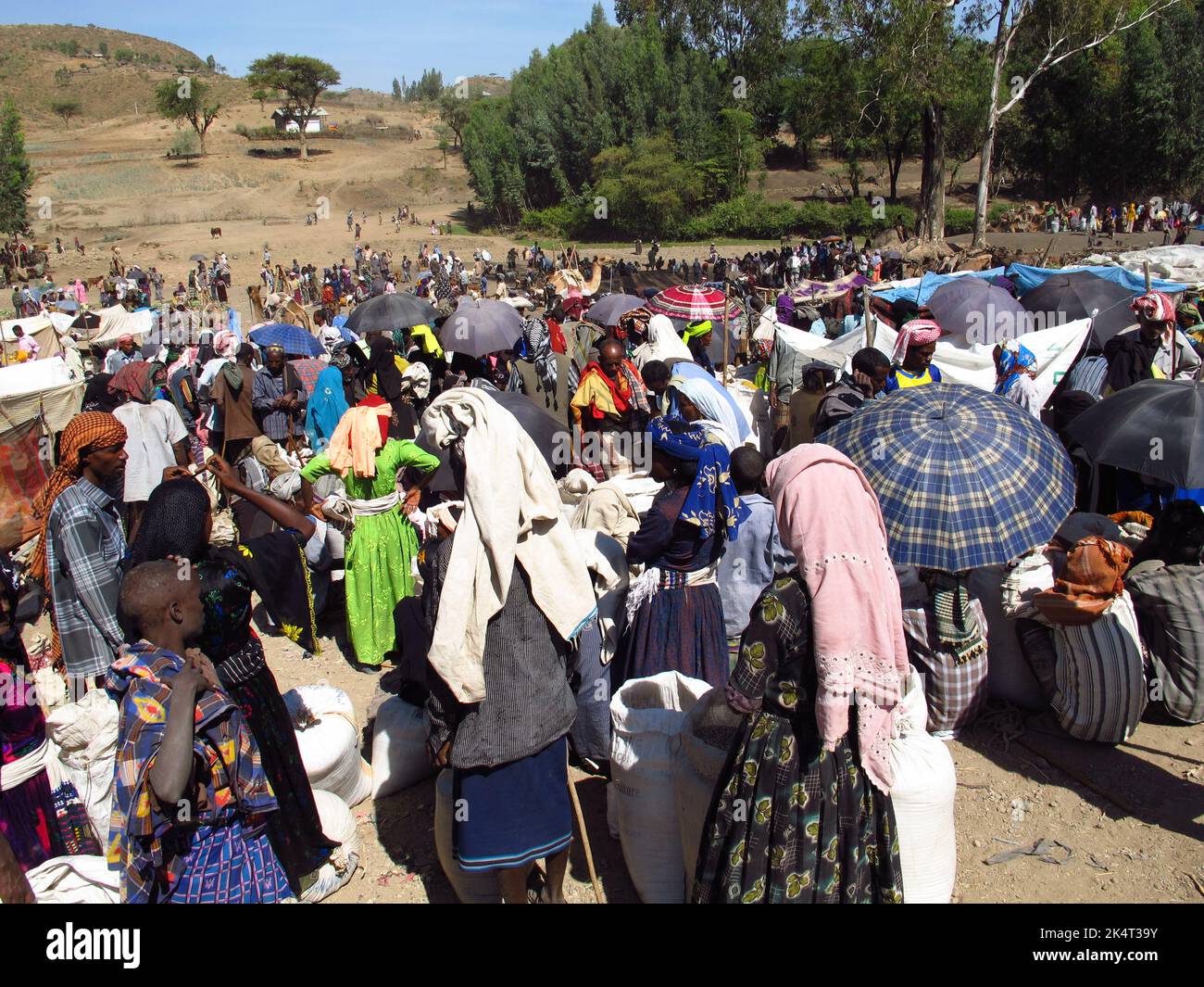 The local market near Kombolcha city in Ethiopia, Africa Stock Photo ...