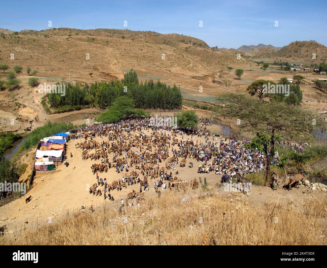 The local market near Kombolcha city in Ethiopia Stock Photo - Alamy