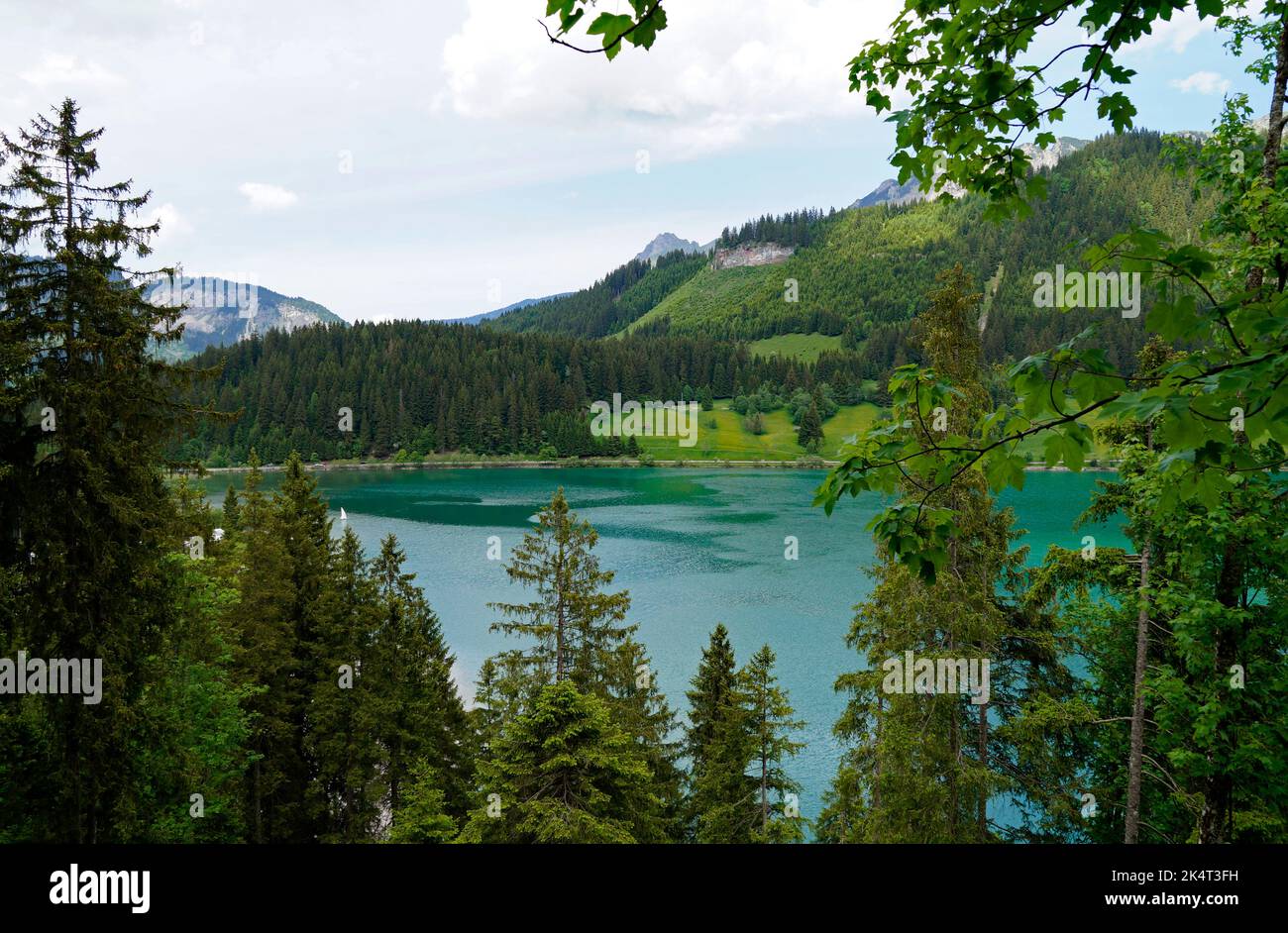scenic emerald-green alpine lake Haldensee surrounded by lush green ...