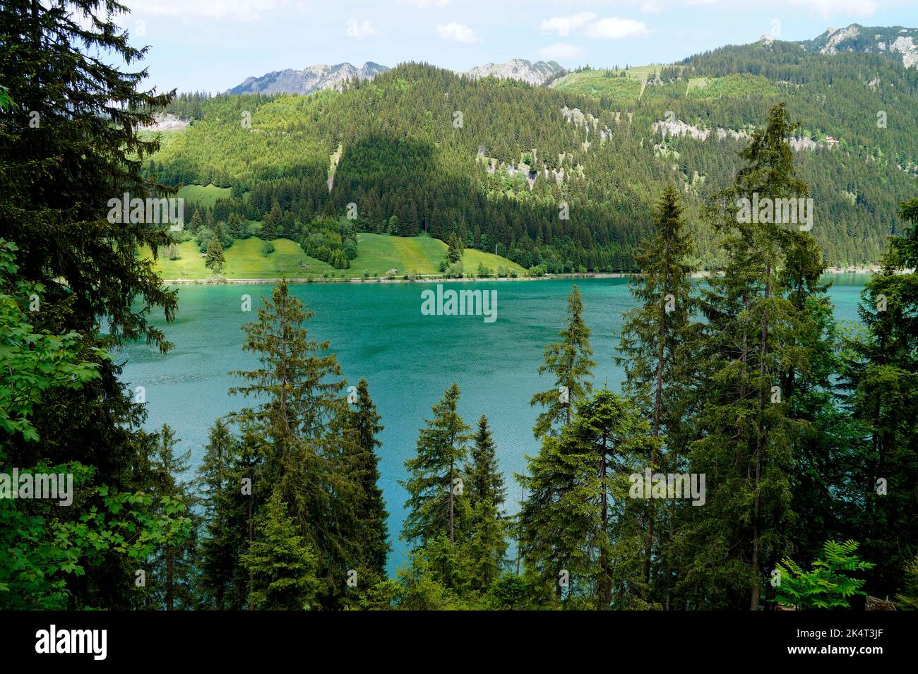 Spring in the maountains hi-res stock photography and images - Alamy
