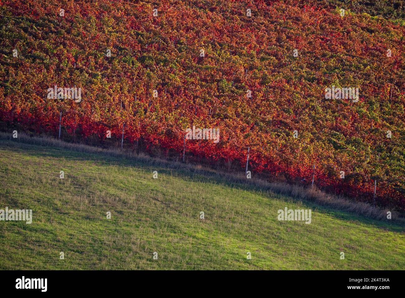 Autumn landscape in Castelvetro di Modena, Emilia Romagna, Italia Stock ...